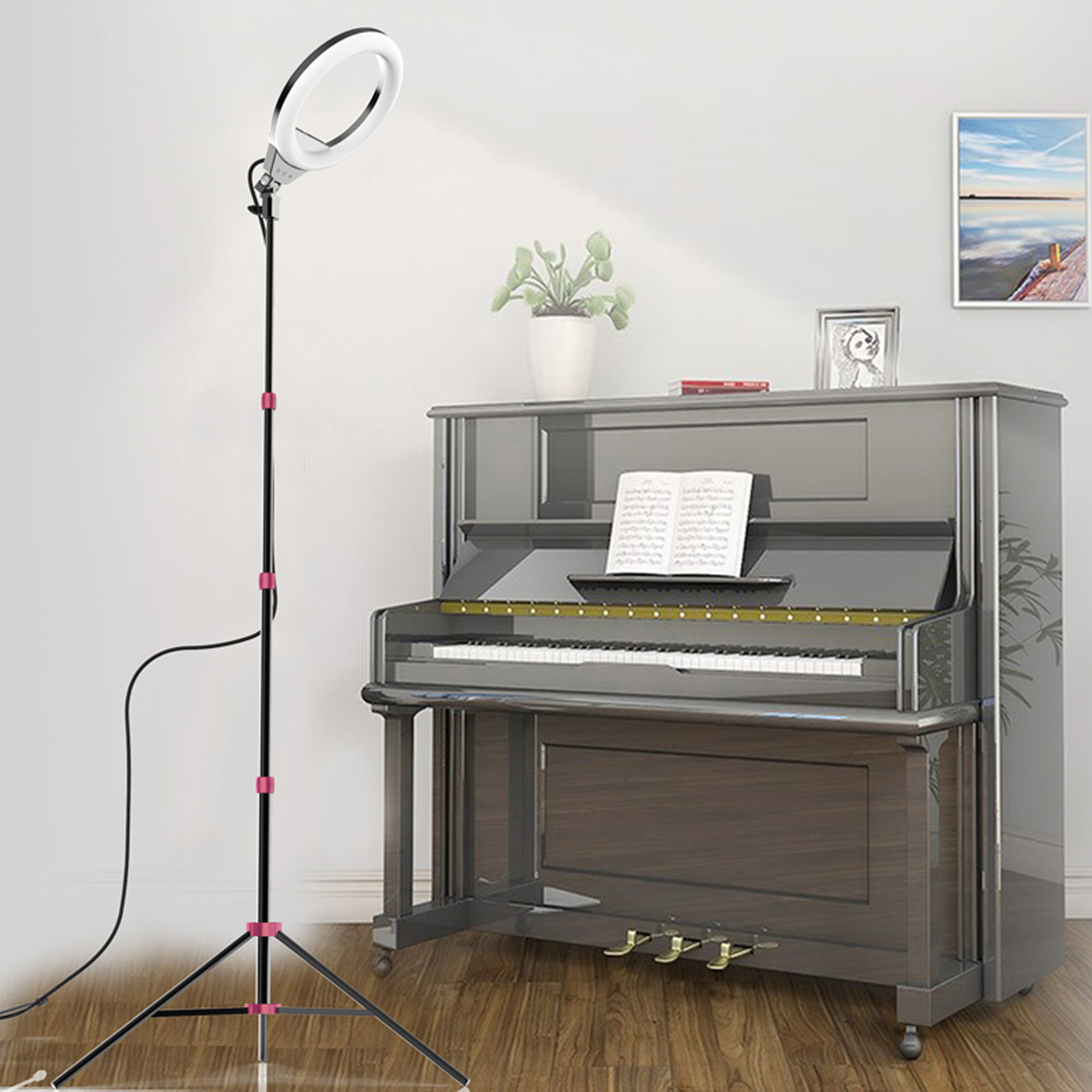 Buy 2021 Trending Products Photography Ring Light Abs White Led Ring ...