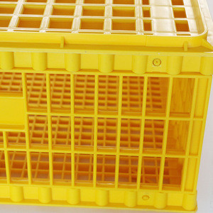 Buy 90cm Plastic Transport Cage /crate /coop Chicken Shifting Box For ...