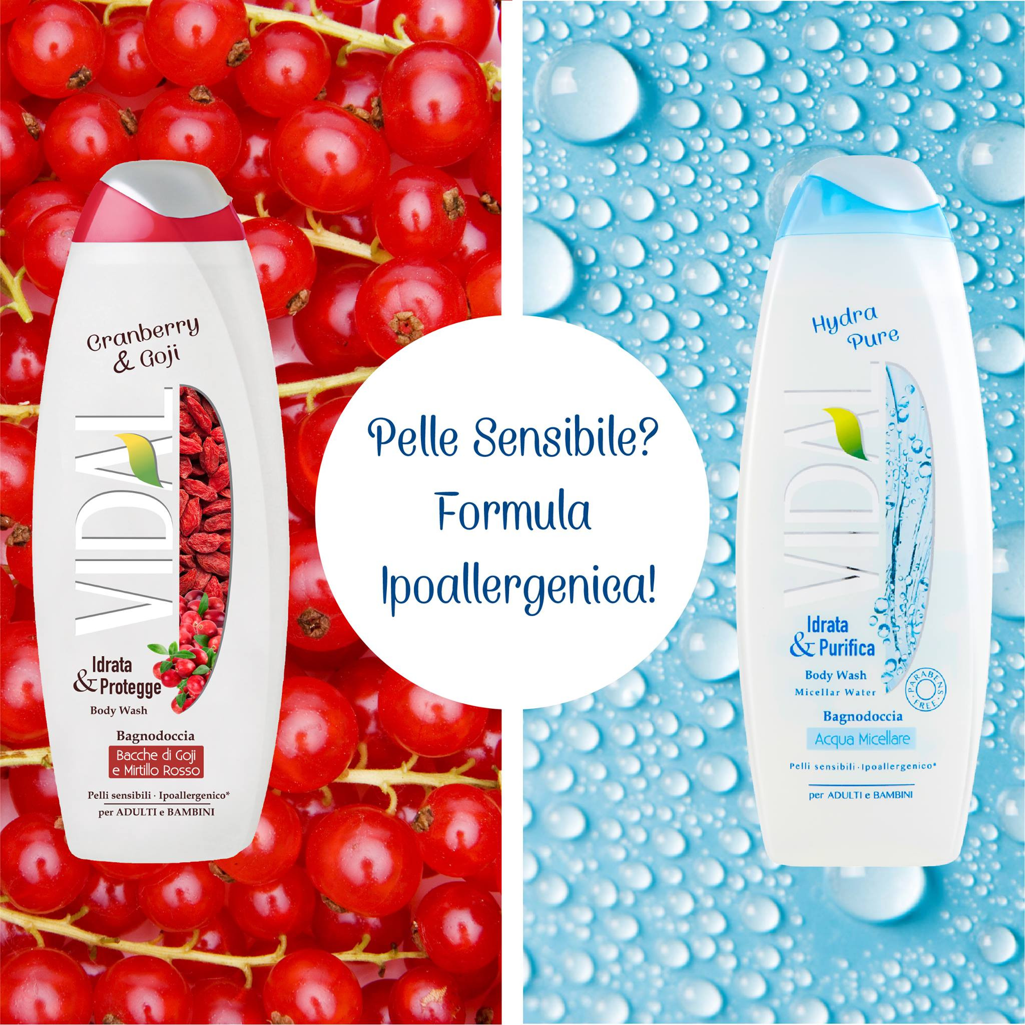 Buy Bath Foam Vidal 250 Ml Cranberry & Goji from GAIA TRADING SRL ...