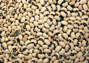 Buy Black Eyed Beans For Sale At Affordable Prices from FARAO GLOBAL ...