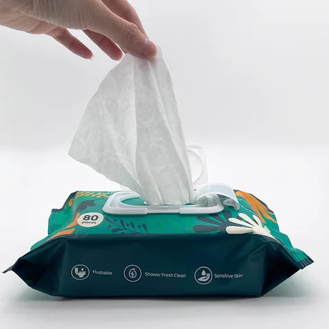 Buy Factory Price Mini Wet Wipes Small Mop Anti Bacterial Toilet Wet ...