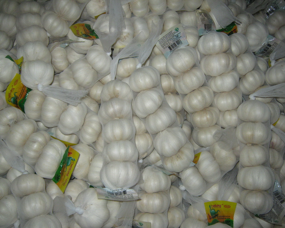 Buy Garlic Garlic New Crop With High Quality Chinese Pure White Garlic ...