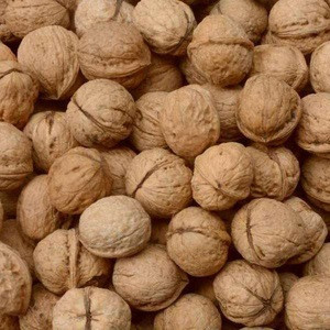 Buy Grade Aaa Grade Fresh Style Wholesale Walnut Shell Halves from ...
