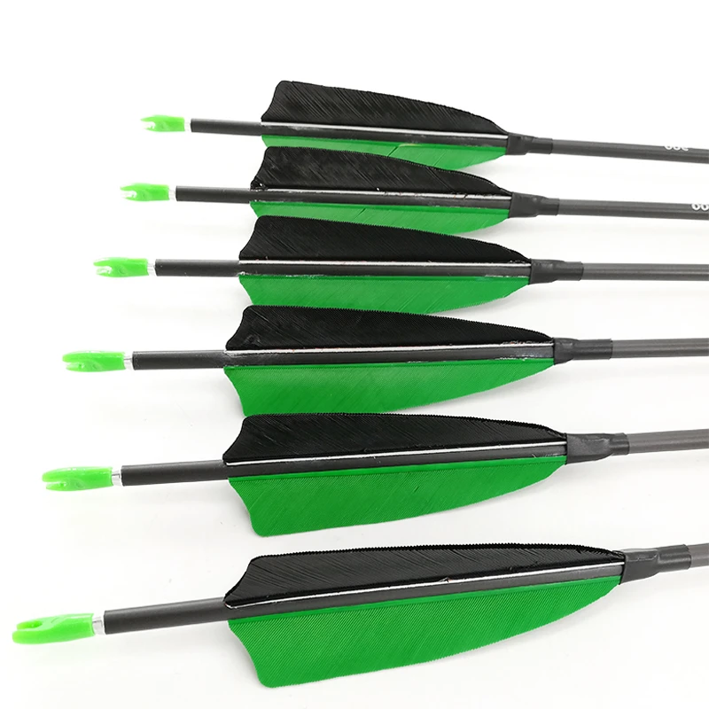 Buy Pinals Bow Hunting Carbon Arrows 100 Grain Points Nock Compound ...