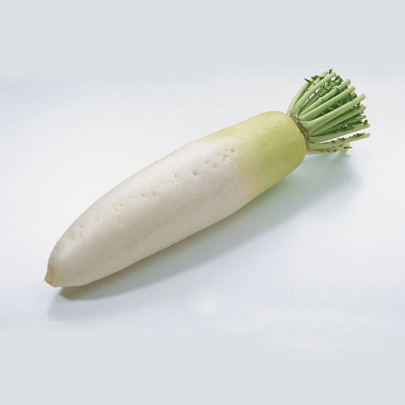 Buy South Africa Fresh White Radish from TWINSTAR TRADING PTY LTD ...