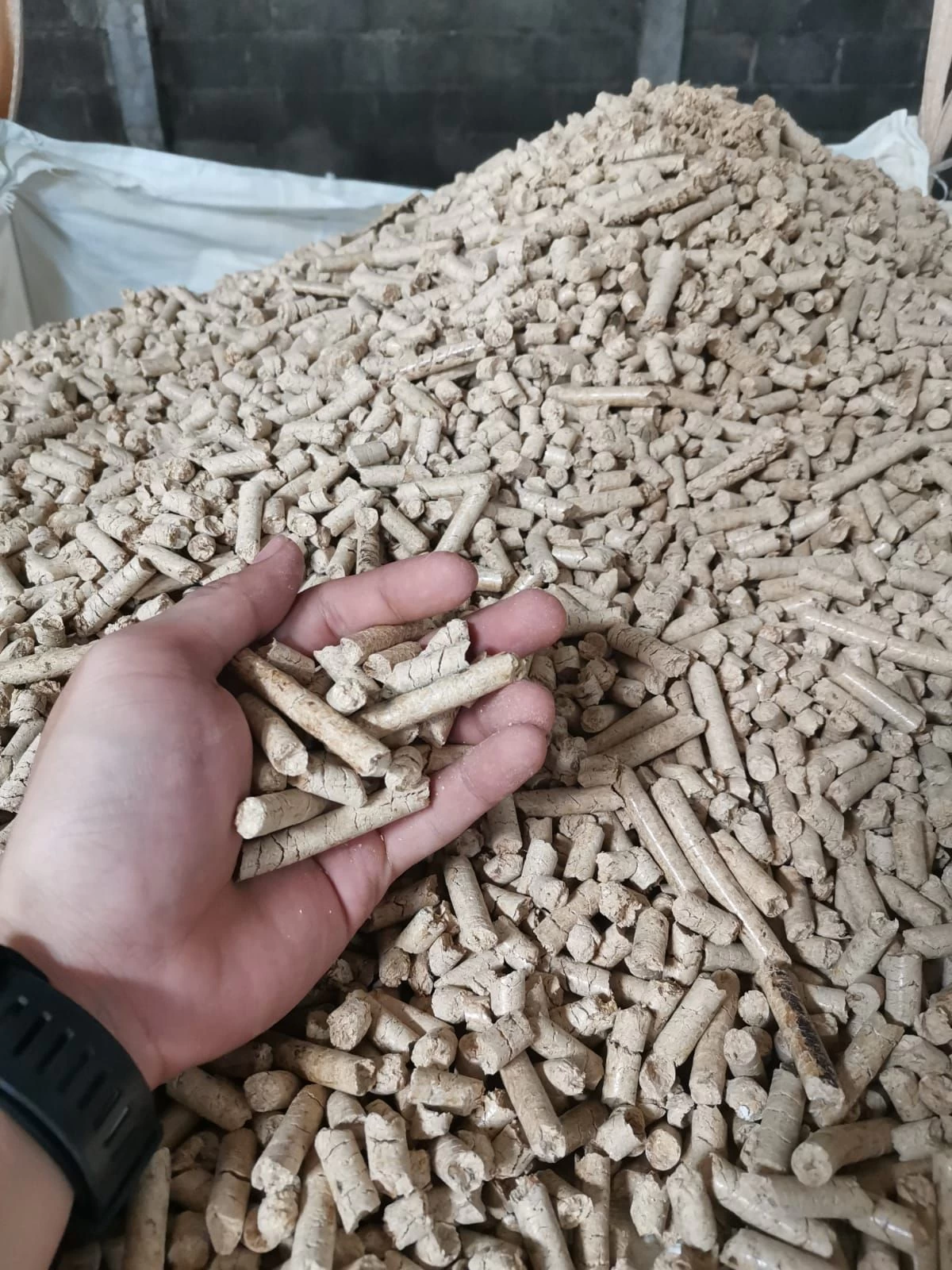 Buy Rice Husk Wood Pellets from Labuan Wood Gallery, Indonesia ...