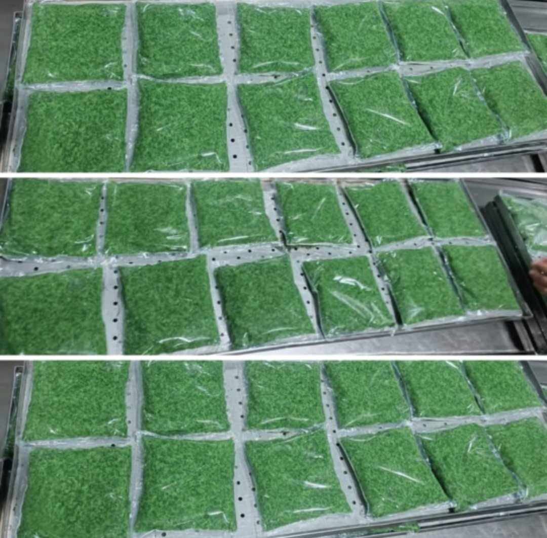 Buy Al Yom Iqf Frozen Minced Molokheya from Al Yom Land Mark Co, Egypt ...