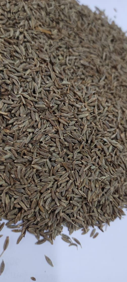 Buy Sigapore Quality Cumin Seeds from Vedantu Energy India Pvt Ltd ...