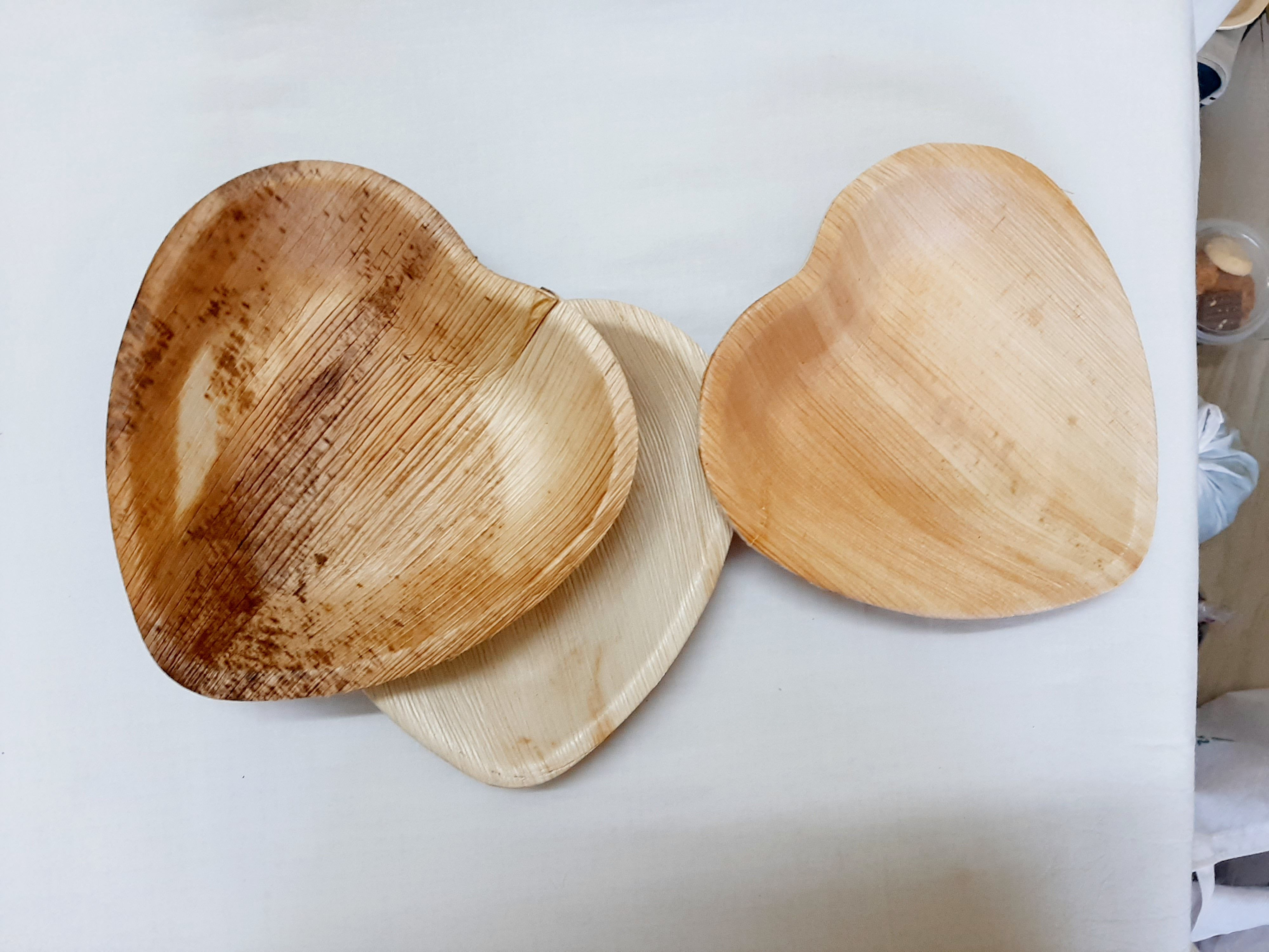 Buy Palm Leaf Products from EVERGREEN ECO CONCEPTS, India | Tradewheel.com