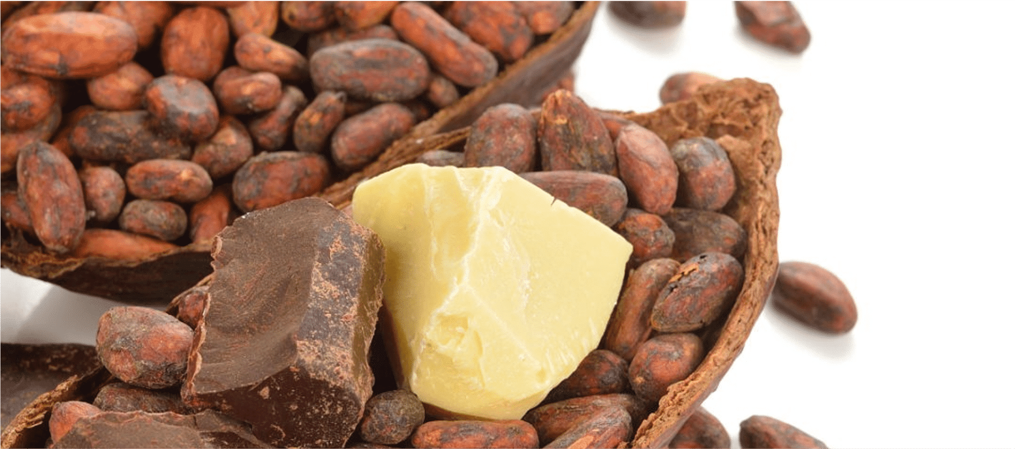 Buy High Quality Cocoa Extract Unrefined /refined Cocoa Butter Cosmetic ...