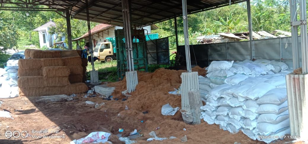 Buy Coco Fiber, Coconut Fiber from Coconut Local Indonesia, Indonesia ...