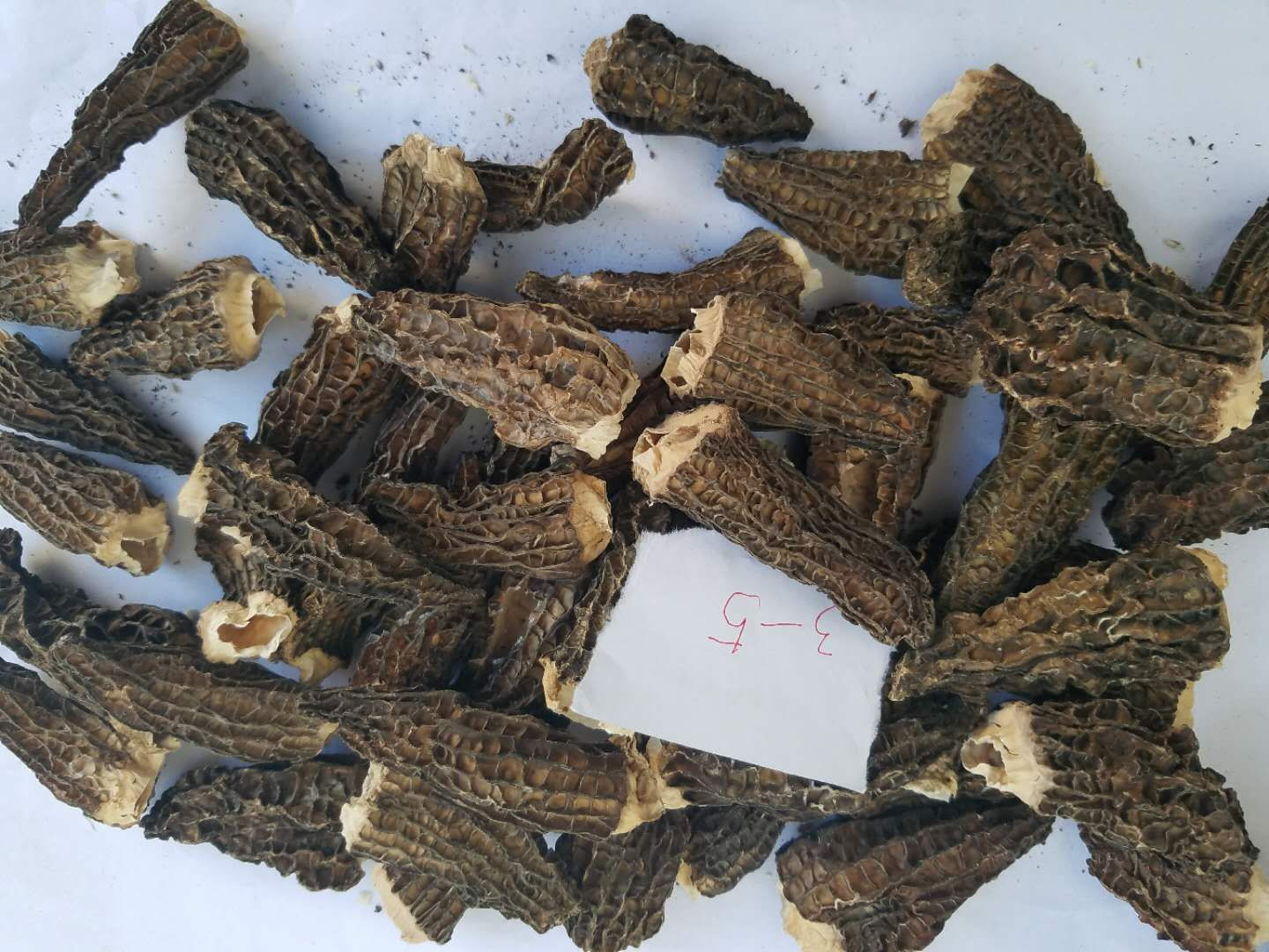 Buy Dried Morel from Company - 苏苏, China | Tradewheel.com