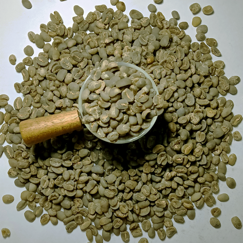 Buy Sumatra Mandheling Arabica Green Coffee Beans - Indonesian Famous ...