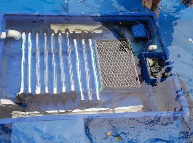 Buy Uv Lamp For Swimming Pools from Foshan Lai Shaosi Photoelectric ...