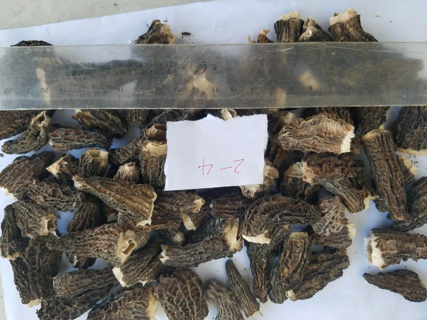 Buy Dried Morel from Company - 苏苏, China | Tradewheel.com