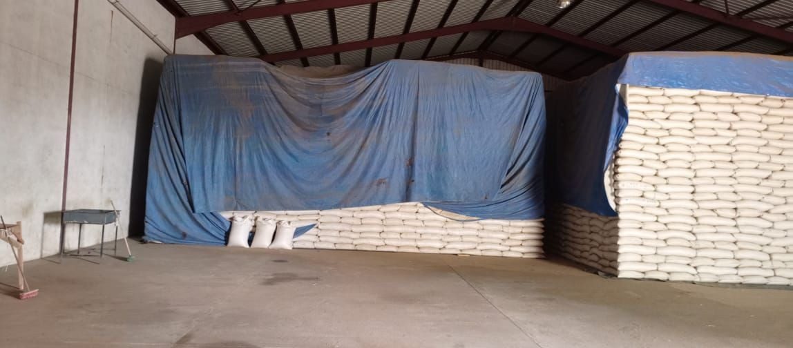 Buy Soya Beans from Senzile Consulting (Pty) Ltd, Zambia | Tradewheel.com