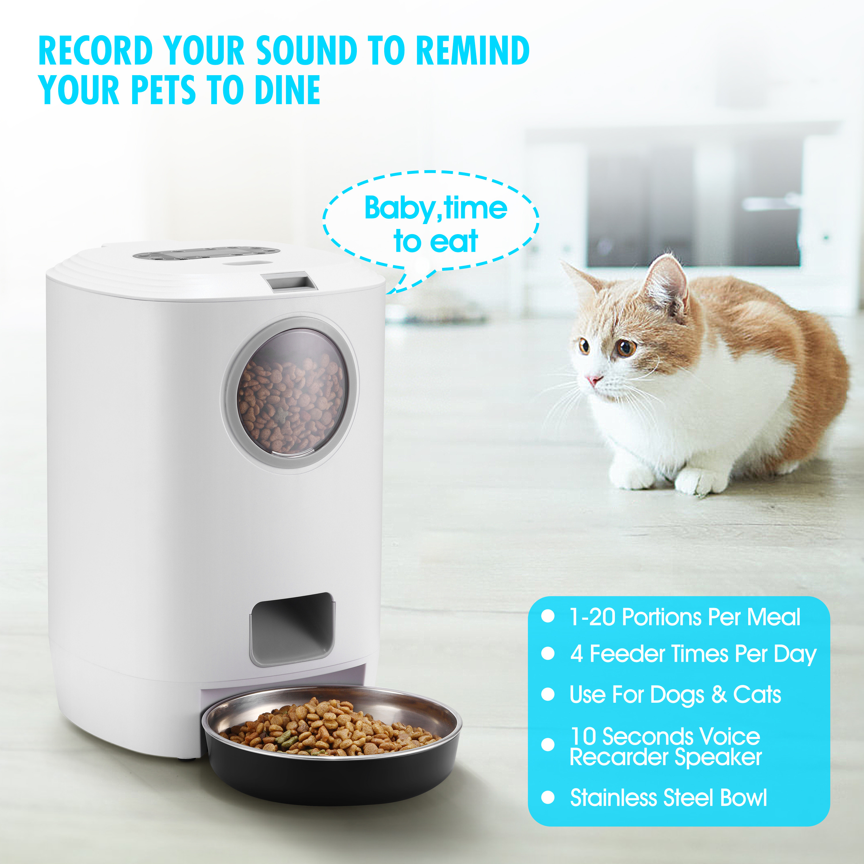 Buy Amazons New Electronic Pet Food Vending Machine Timing Automatic ...