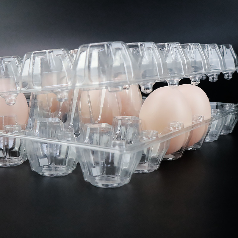 Buy Biodegradable Recycling Wholesale Price Plastic Quail Egg Holder ...