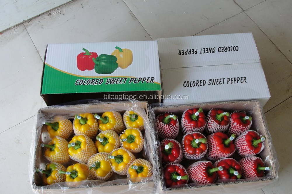 Buy Chinese New Crop Fresh Red Capsicum from Shouguang Bilong Vegetable ...