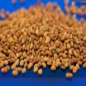Buy Hybrid Alfafa Seeds For Agricultural Seeding from Veruver GmbH ...