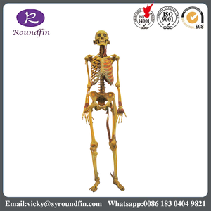 Buy Iso Approved Students Understand Medical Science Nerves Specimen ...