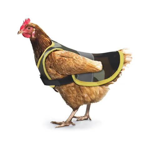 Buy New Pet Chicken Duck Goose Chest Back Pet Clothes Reflective Safety ...
