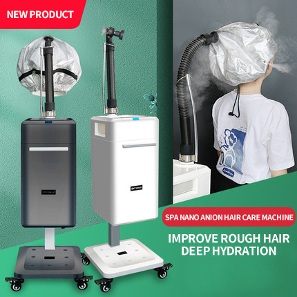 Buy Professional Moisturizer Ozone Hair Steamer Micro Mist Machine ...