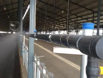 Buy The Cow Spray System Solves The Problem Of High Body Temperature In ...