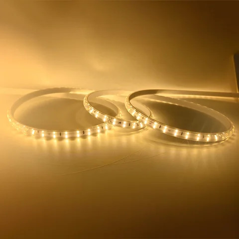 Buy Wireless Led Strip Light Smd 2835 120led/m Double Row 12mm Highlight Outdoor Waterproof ...