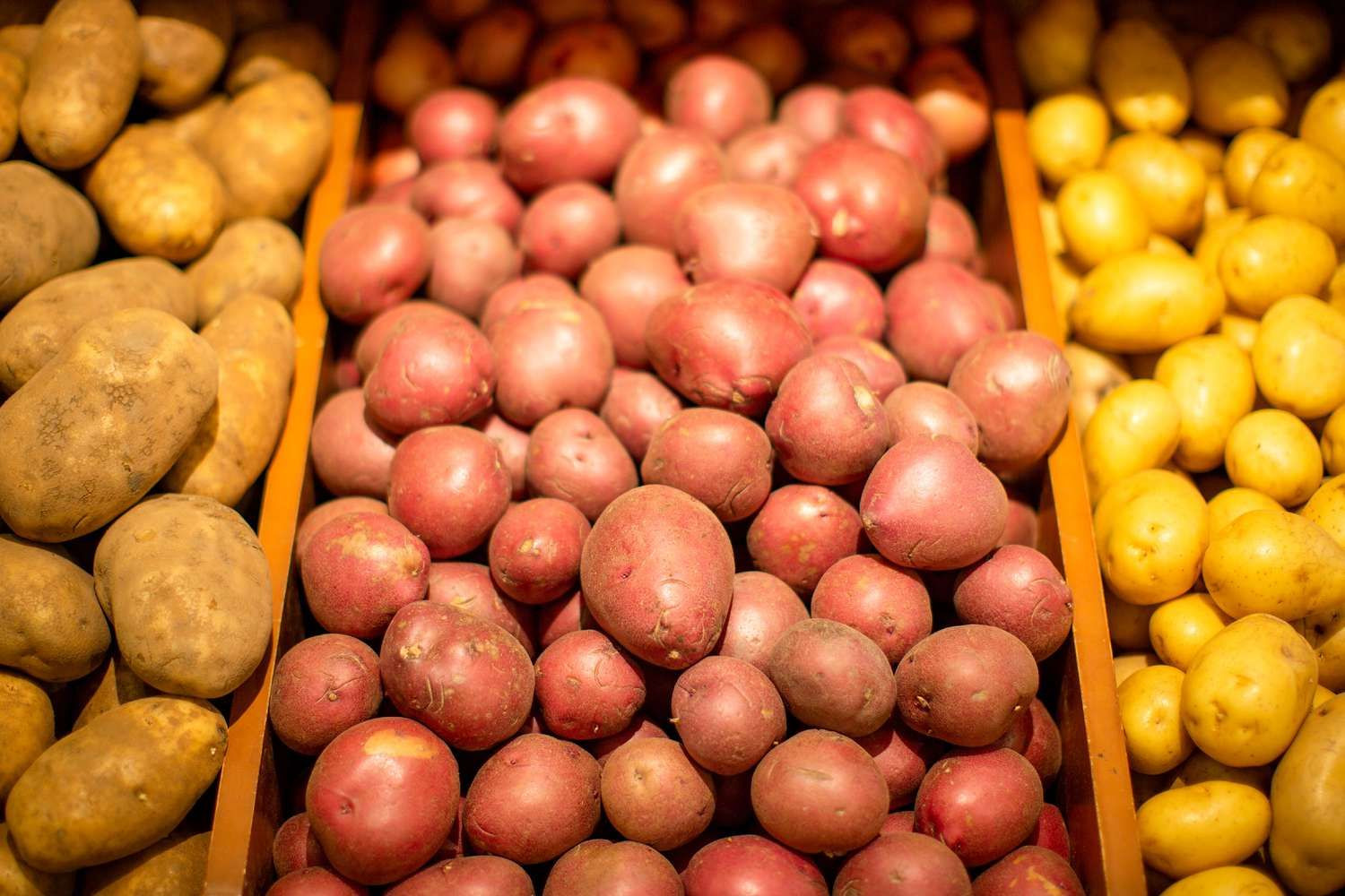 Buy Fresh Russet Potatoes Wholesale Bulk Organic High Quality Factory ...