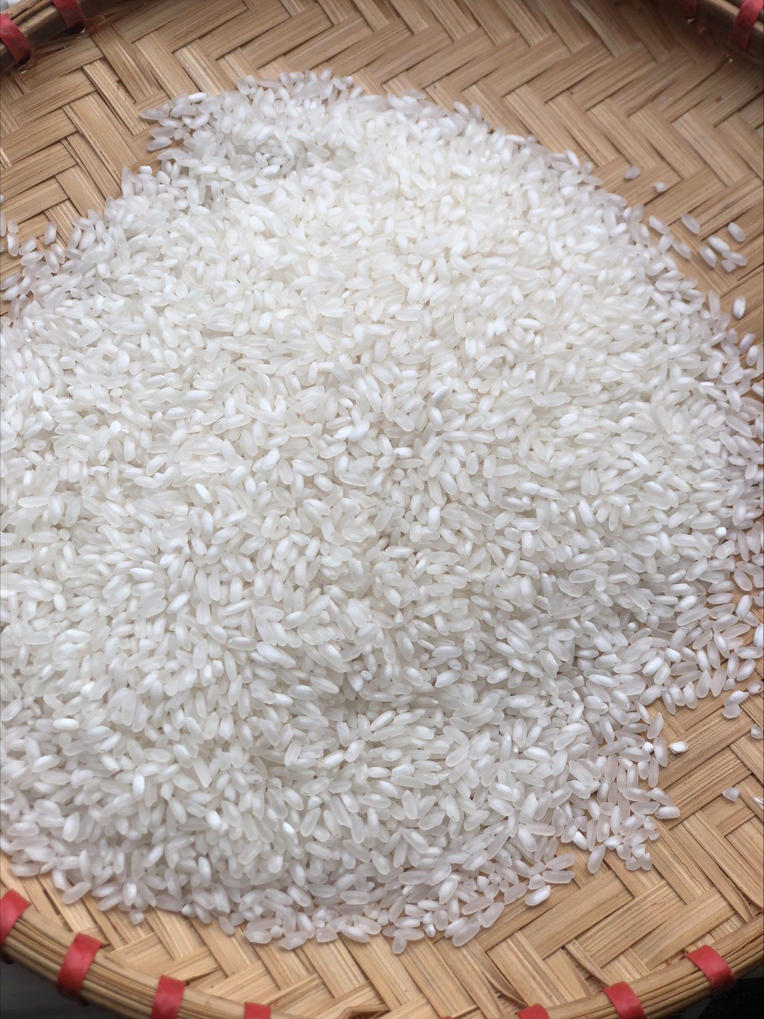 Buy Biggest Distributor Of Japonica Rice Short Grain Round Calrose Rice ...