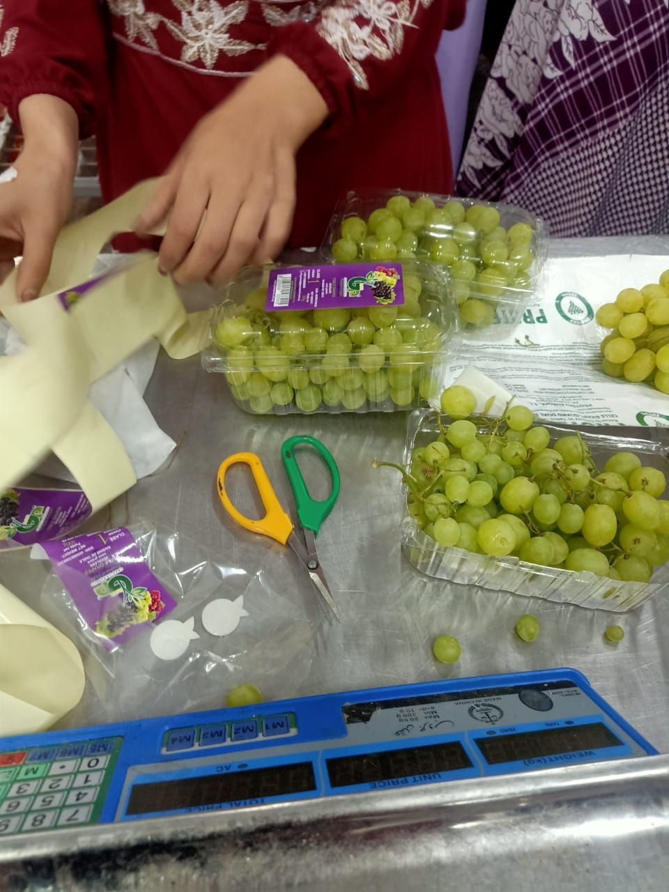 Buy Fresh Grapes from Green Point for import & export, Egypt ...