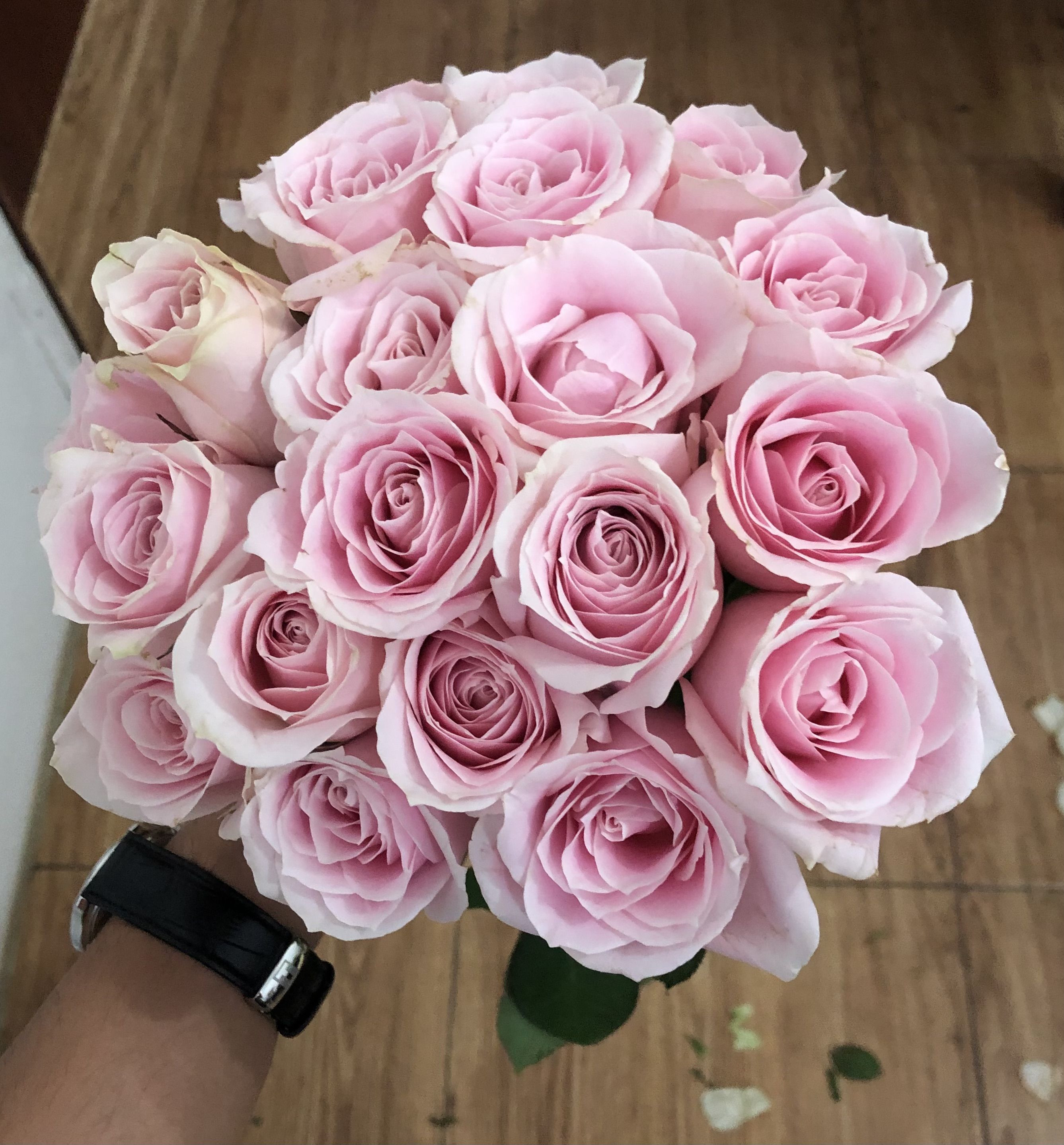 Buy Wholesale Fresh Cut Flowers, Roses, Lilium, Ghypsophilia Etc. from ...