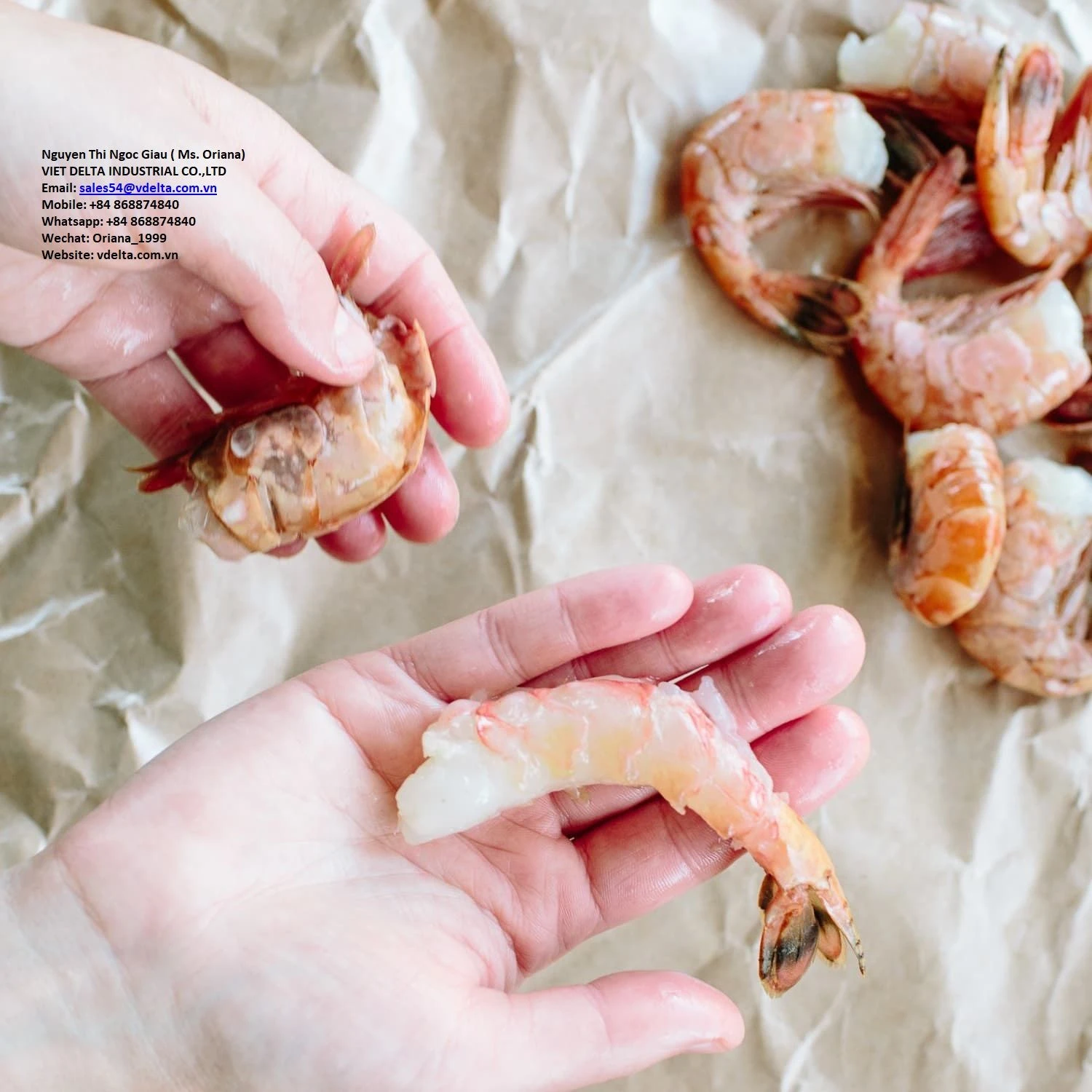 Buy Dried Ocean Shrimp Head Shell from Viet Delta Industry, Vietnam ...