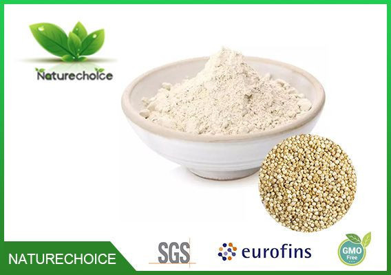 Buy Quinoa Seed Powder from Xi'an Nature Choice Co.,Ltd, China ...