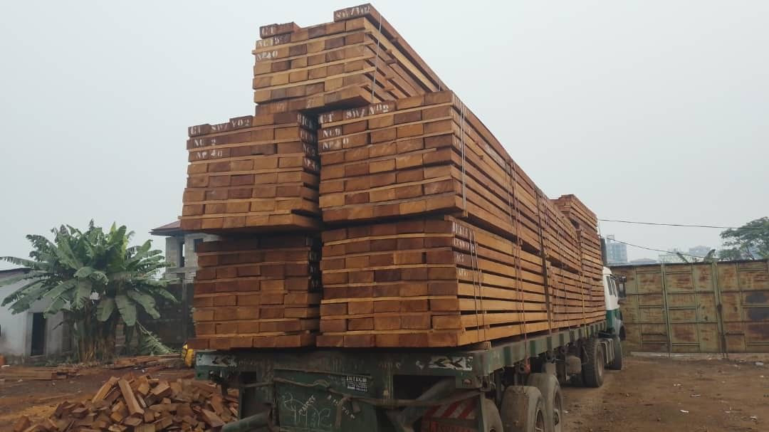 Buy Sawn Tropical Wood Iroko from Rickles sarl, Cameroon | Tradewheel.com