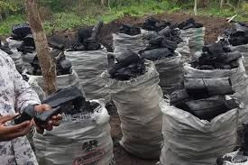 Buy Charcoal Briquettes from Tradal Holdings, United Kingdom ...