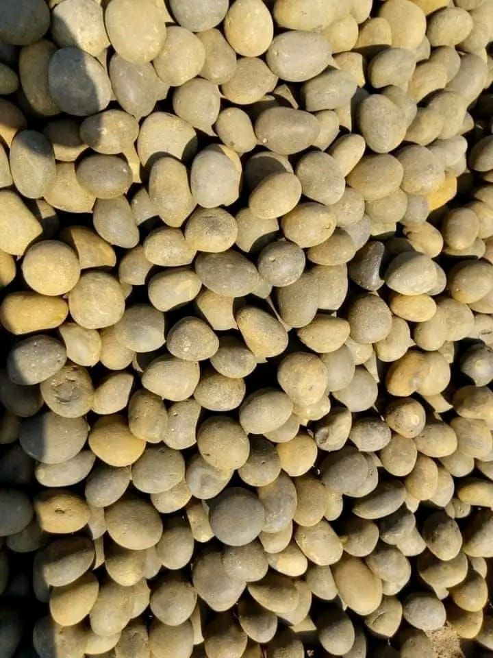 Buy Flint Pebbles from Future Way, Egypt | Tradewheel.com