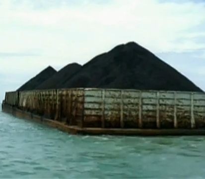Buy Coal From Indonesia from Starkey mulia suksesindo, Indonesia ...
