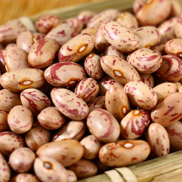 Buy Kidney Beans Non-gmo Wholesale White Bean from Markco Polo ...