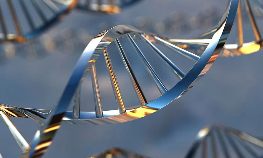 Buy Anti-aging Peptide from Zhuhai Gene-Biocon Biological Technology Co ...