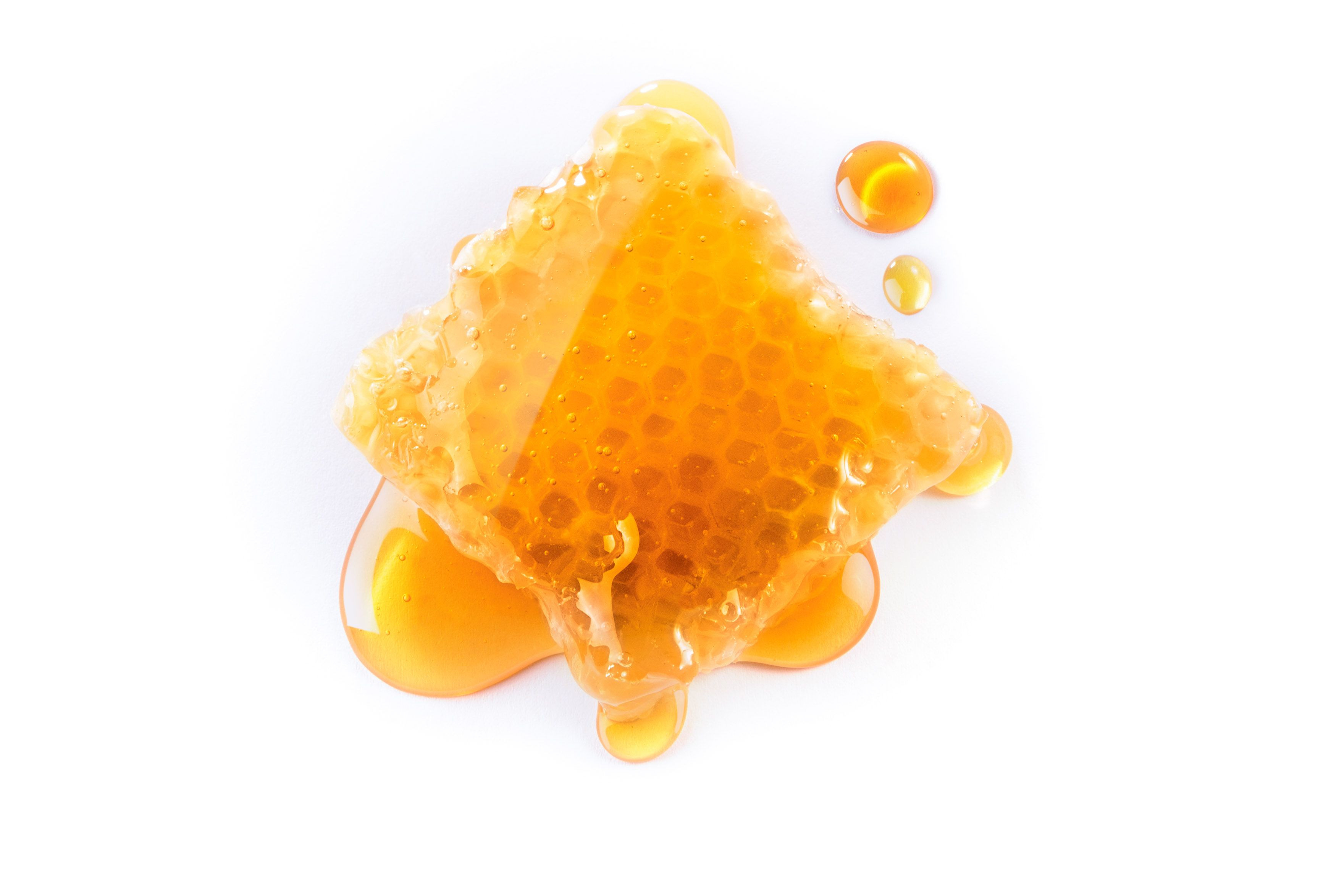 Buy Manuka Honey Powder from Ultimately Natural Pty Ltd, Australia ...