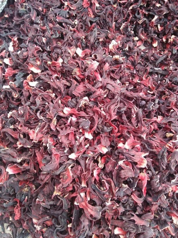 Buy Dry Hibiscus Flower from BONBRIDGE FARMS, Nigeria | Tradewheel.com