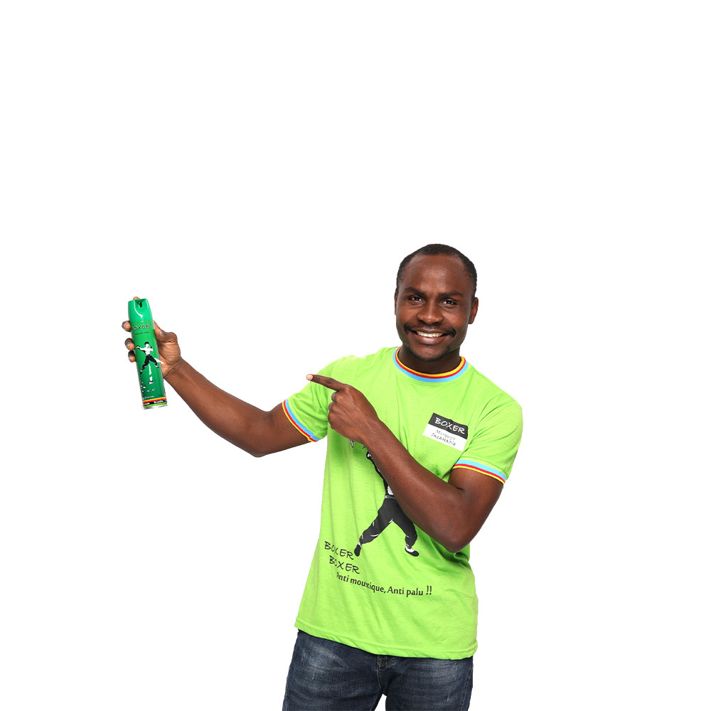 Buy Boxer Insecticide Anti Mosquito Spray Repellent Pest Control Spray ...