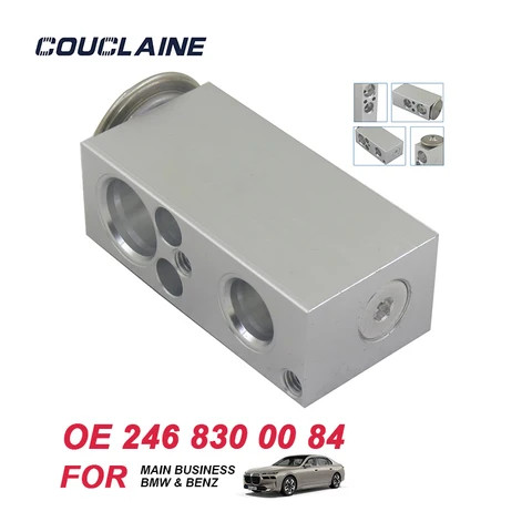 Buy Couclaine 2468300084 A2468300084 A/c Expansion Valve from Guangzhou ...