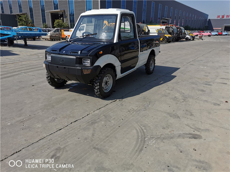 Buy Hot Pickup Mini 2 Seats Electric Pick Up Cargo Truck For Sale from ...