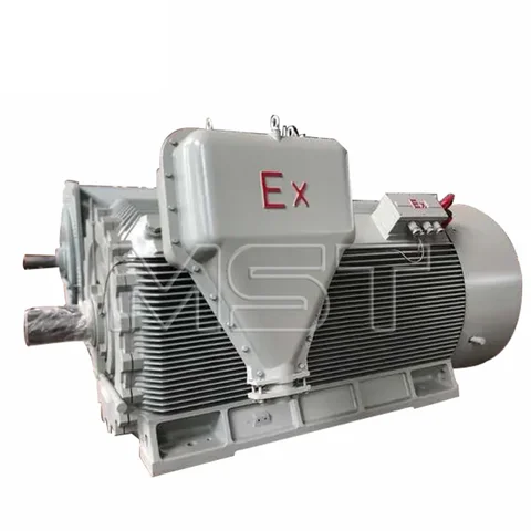 Buy Industrial Ac Three Phase Hv Motor 6kv Explosion Proof Yb High ...