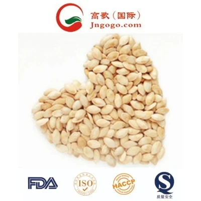 Buy New Crop Shine Skin Pumpkin Seeds Roasted Pumpkin Seeds For ...