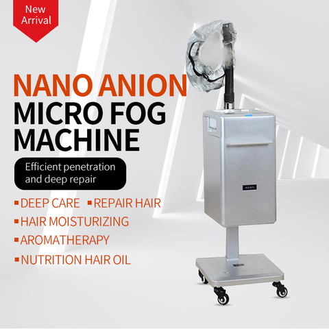 Buy Professional Moisturizer Ozone Hair Steamer Micro Mist Machine ...