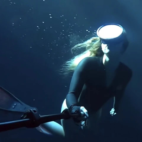 Buy Single Lens Dive Mask Scuba Spearfishing Free Dive Stainless Steel ...